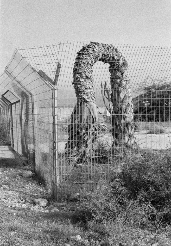 Paris Photo 2025 : Photography Through the Lens of the Contemporary ...